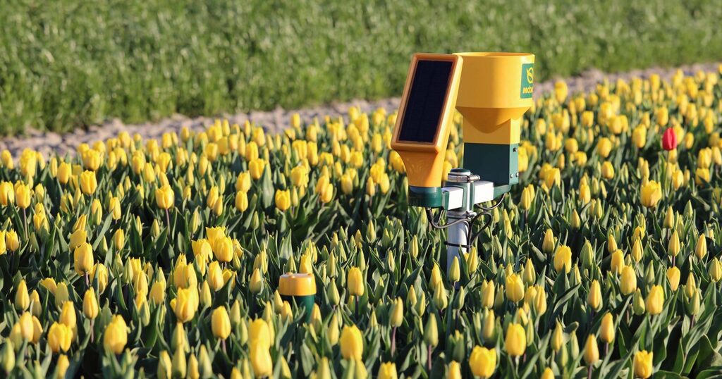 חברת CropX מנתניה רוכשת את חברת האג-טק Dacom מהולנד | כלכליסט