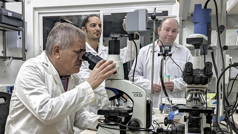 SOLVEAT: “Consumers want food products that improve their health” | Ctech